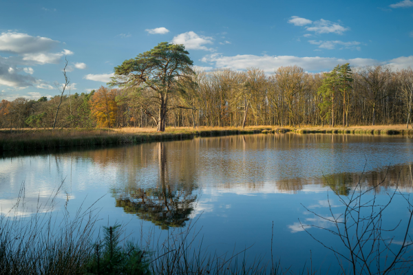 Fototentoonstelling 'Natuur in Focus' | Nationaal Park
